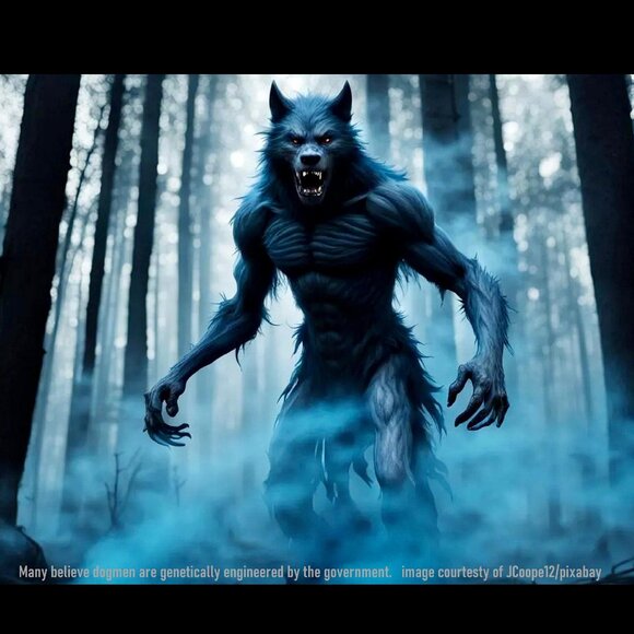 The Crafty Hobbit | Office | Dogman Calendar 226 Werewolf Calendar ...